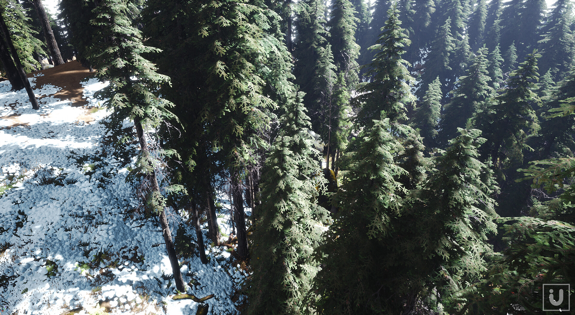 JLE Studios / i-U Asset Studios - Unreal Engine - The Forest ...