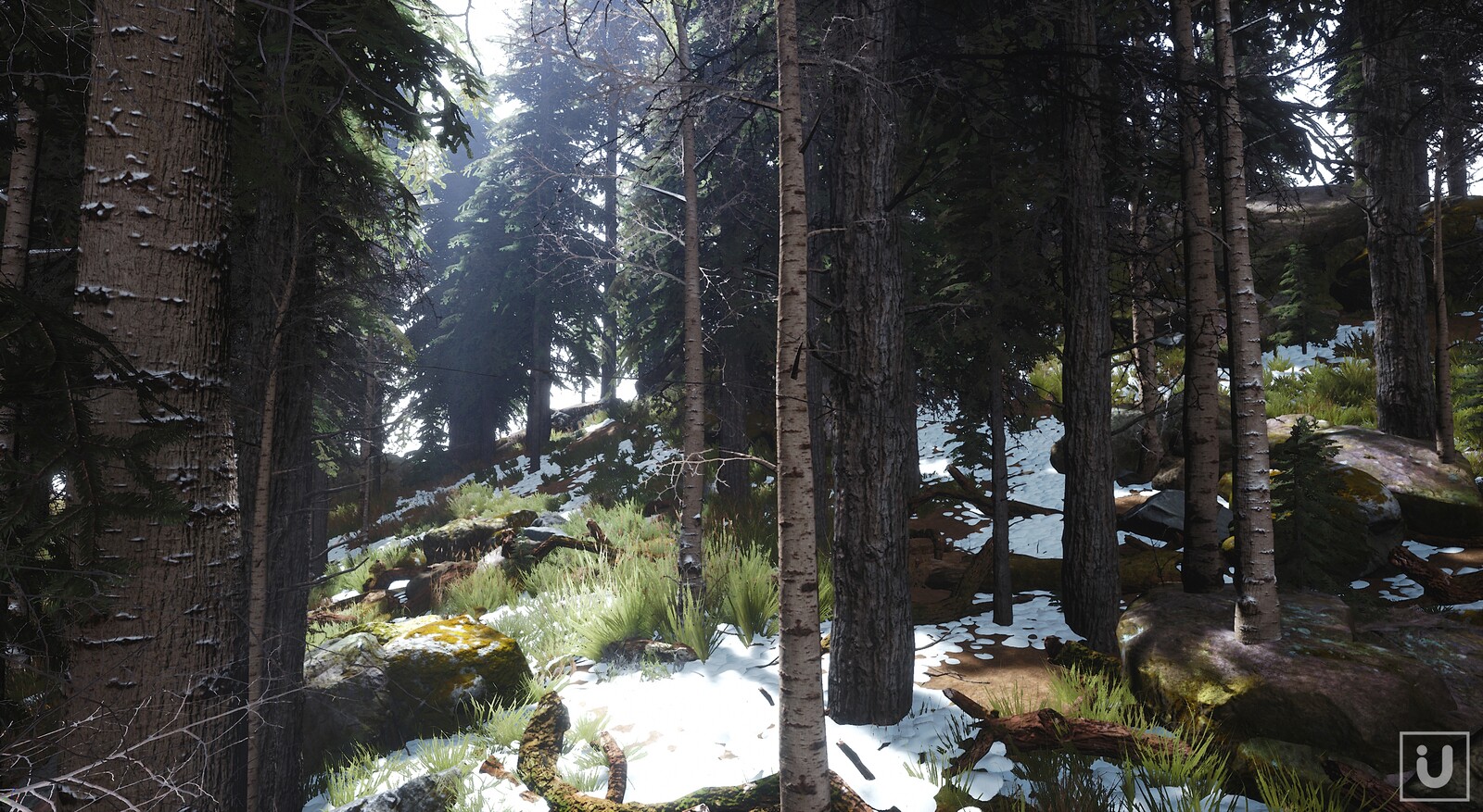 JLE Studios / i-U Asset Studios - Unreal Engine - The Forest ...