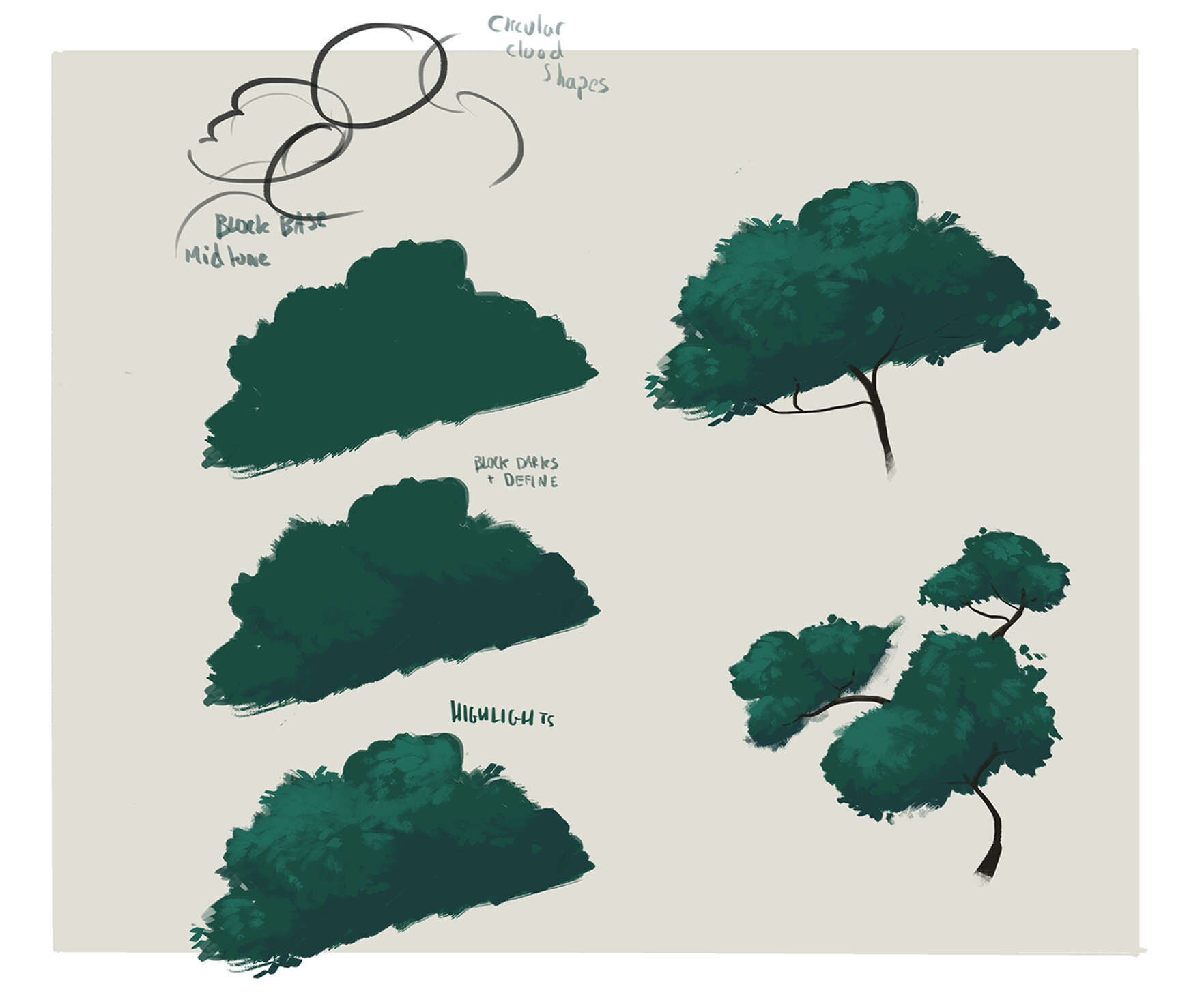 ArtStation - Tree Studies