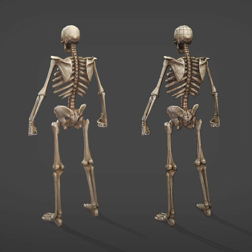 Viktor Sághy - Low-poly Skeleton