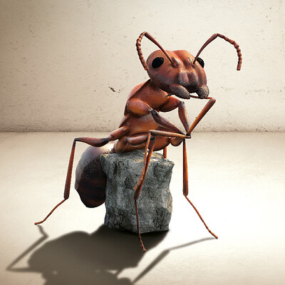 Çetin Can Karaduman