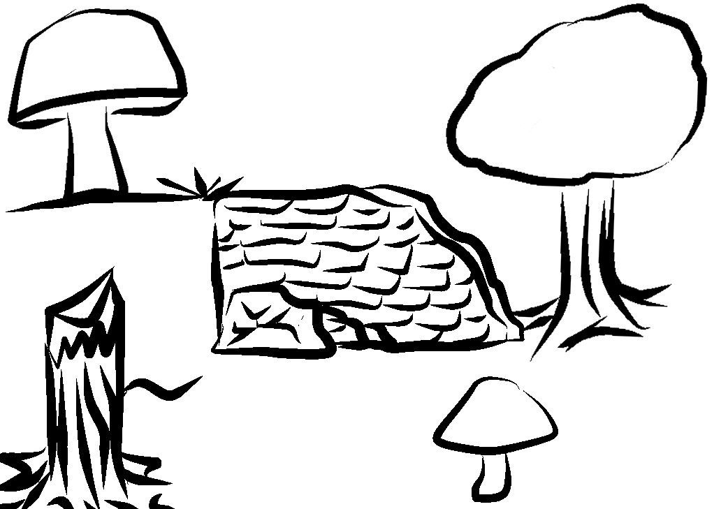 how to draw natural objects