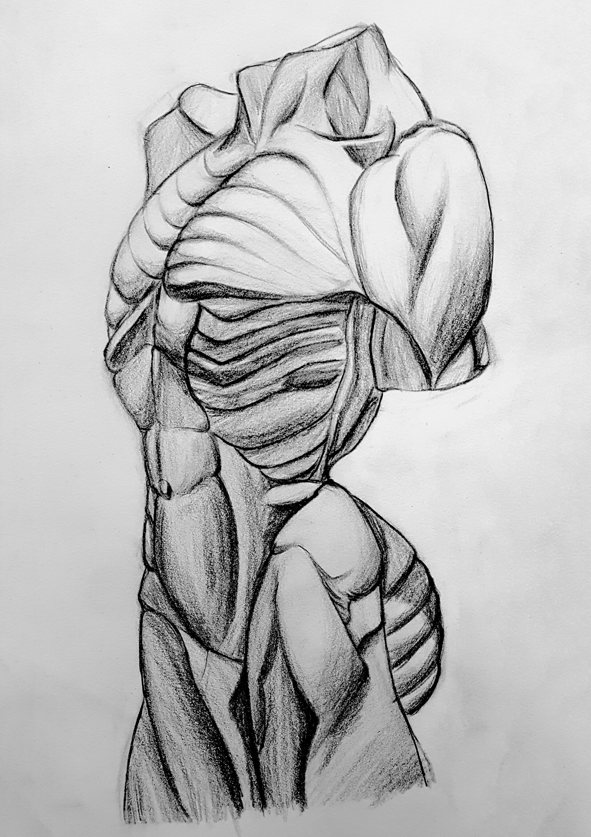 ArtStation - Figure Drawing (Anatomy)