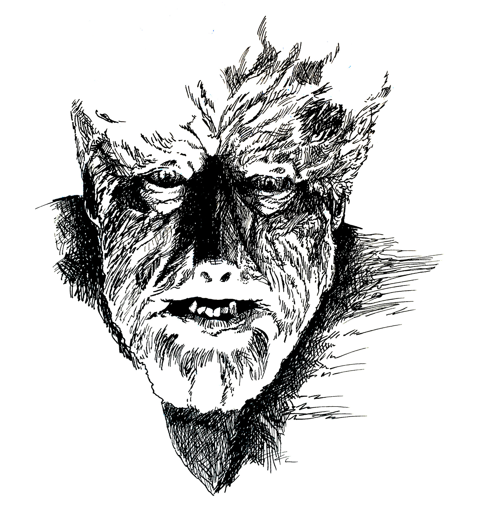 ArtStation - Wolfman Nib experiment