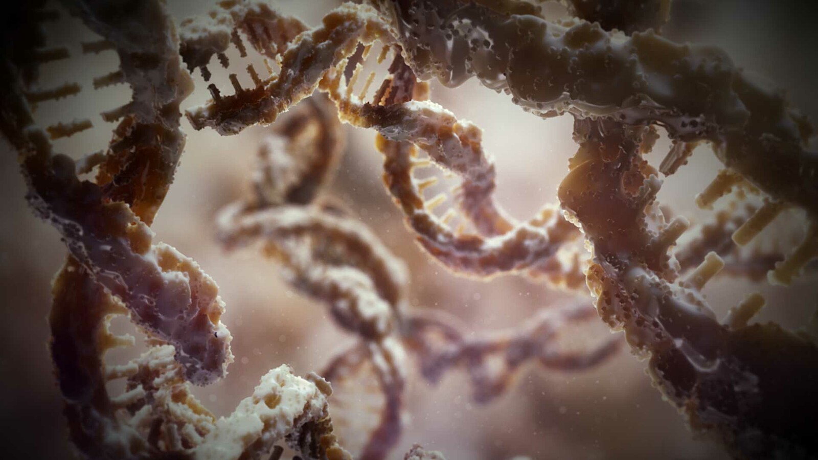 Emily E Ellis - Octopus DNA