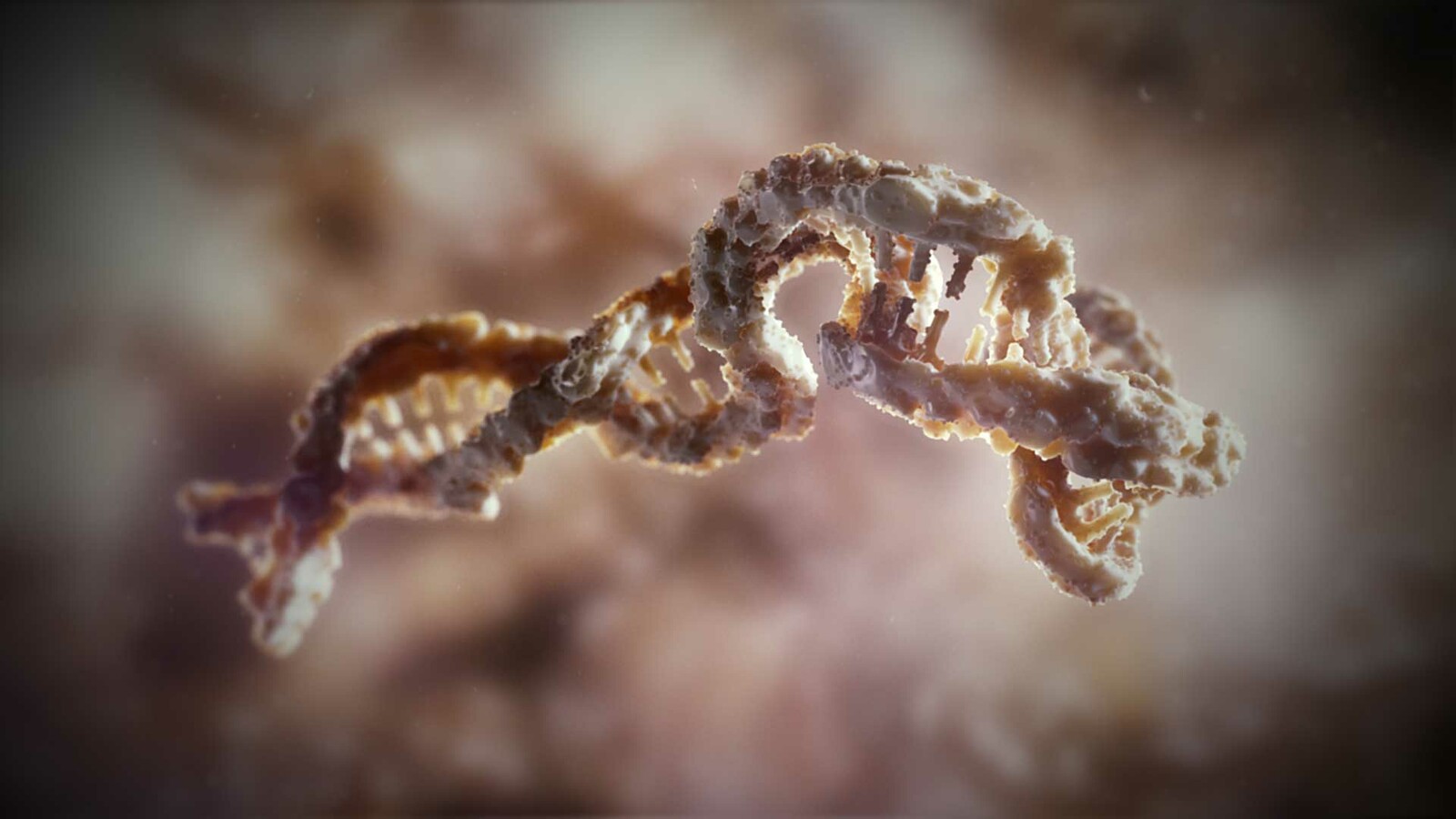 Emily E Ellis - Octopus DNA