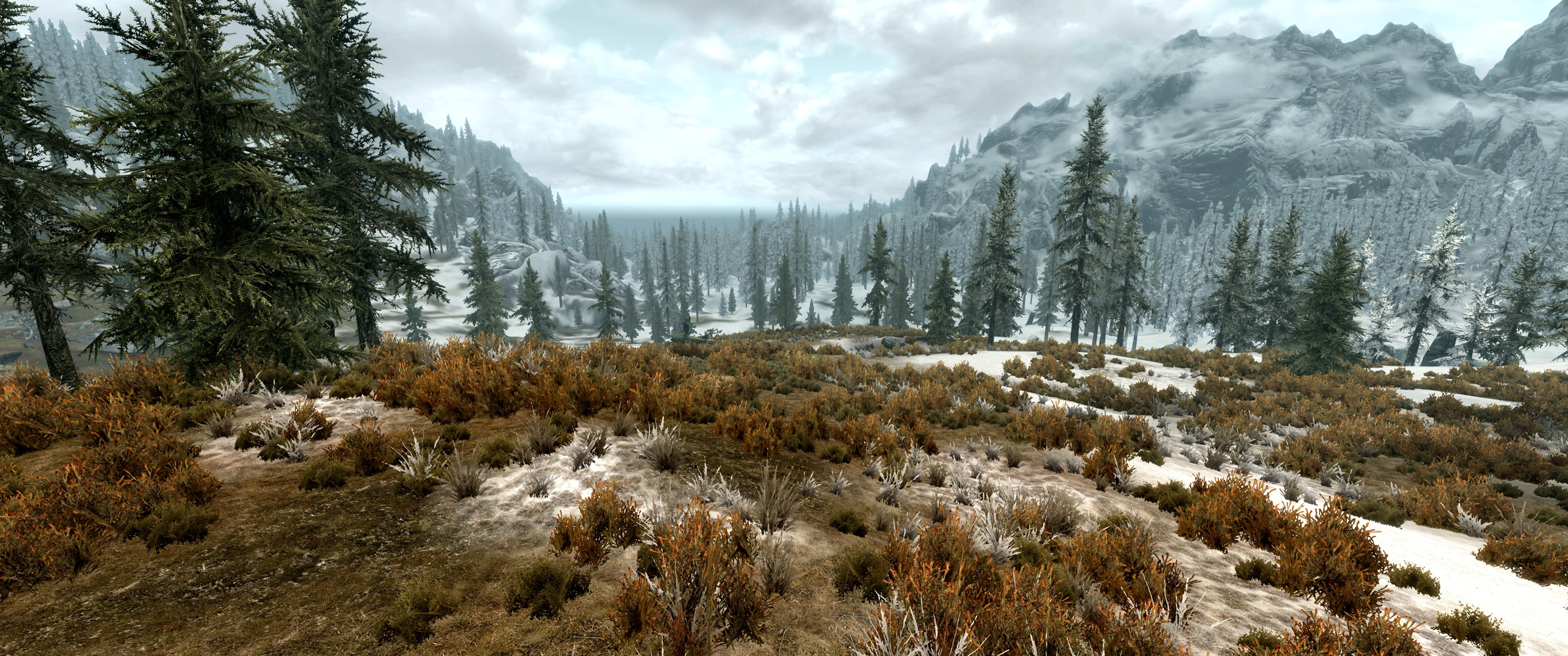 Trey Sharp - The Elder Scrolls V: Skyrim - Tundra