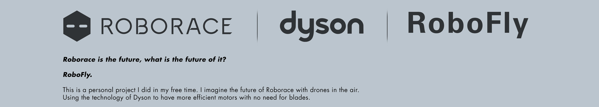 Berk Kaplan - RoboFly