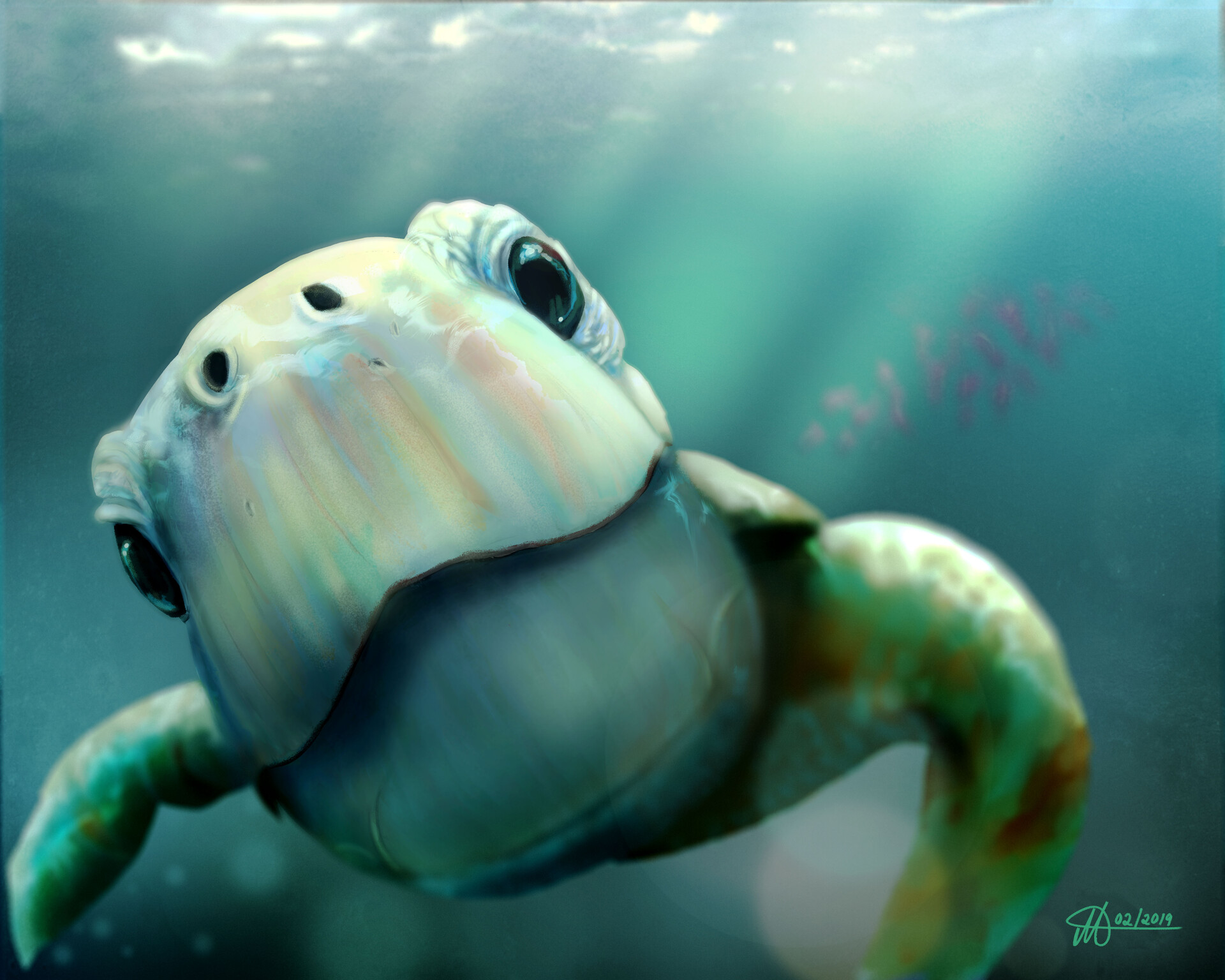 ArtStation - Sea turtle