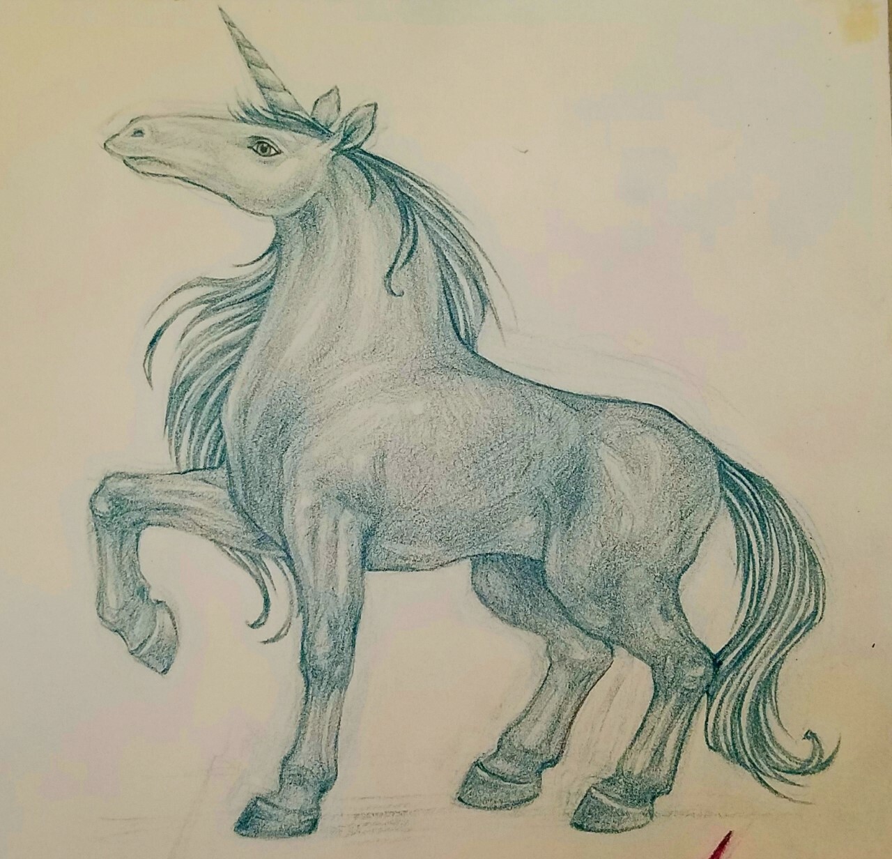 ArtStation - unicorn character design sketch