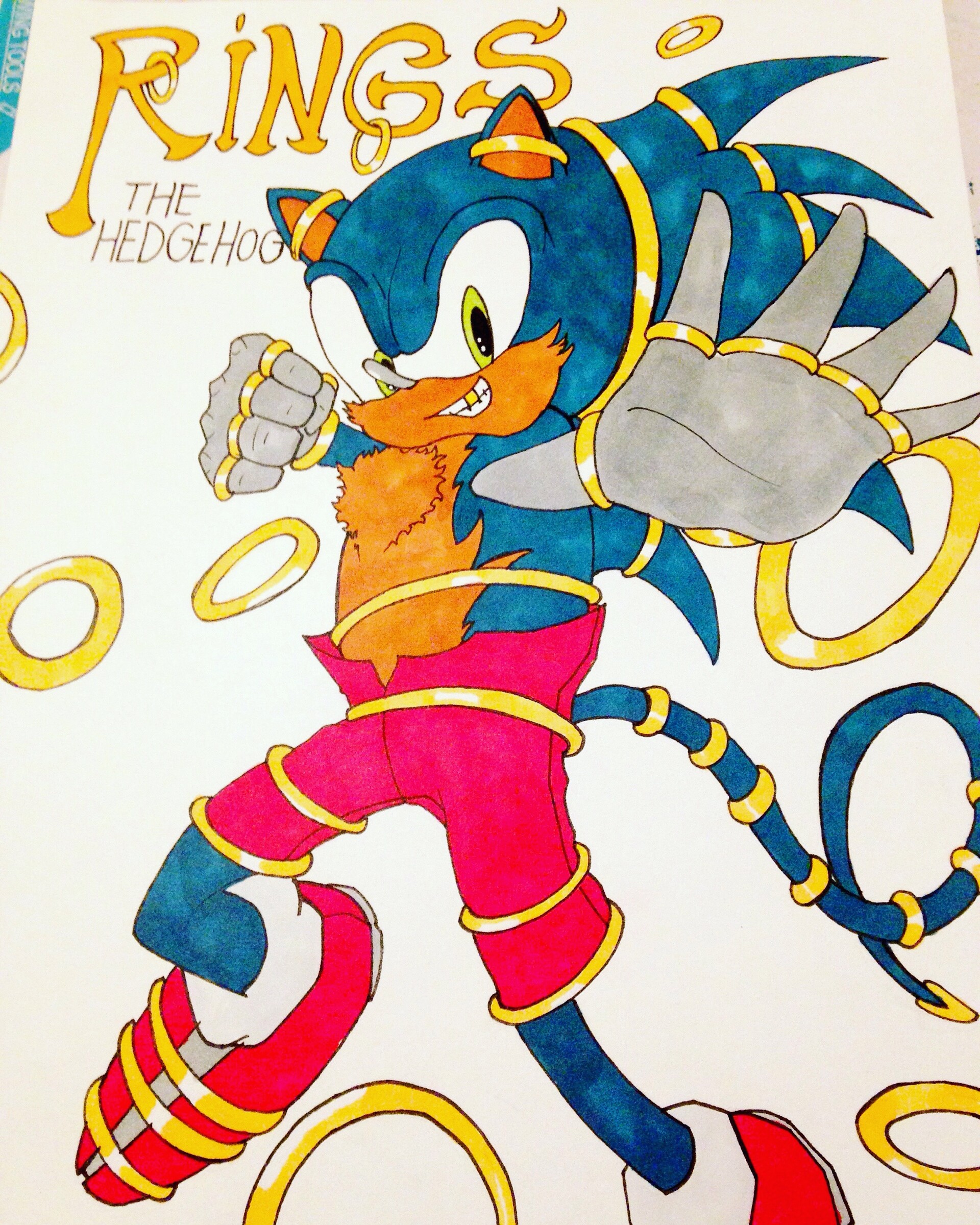 ryan sonic the hedgehog