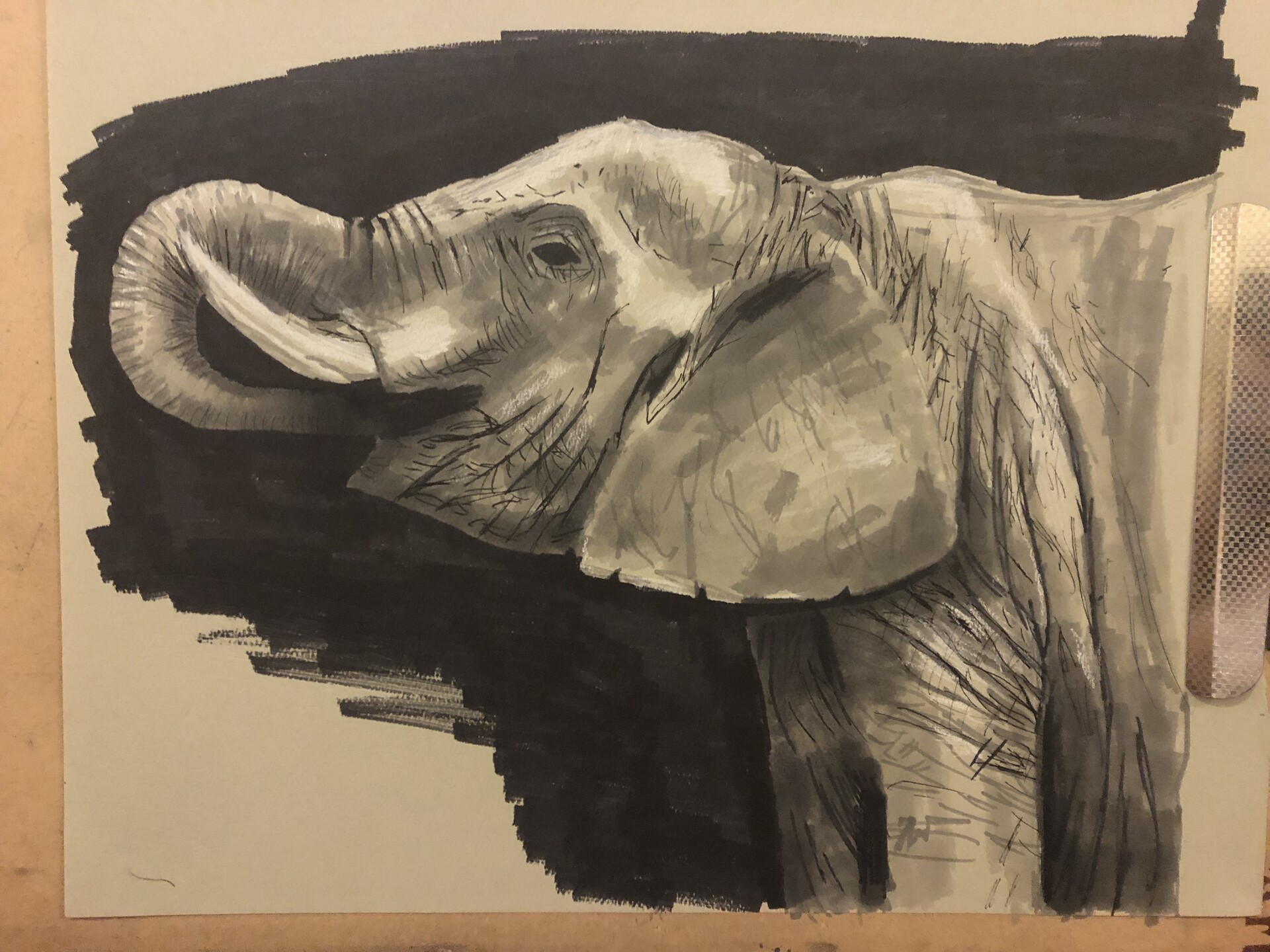 ArtStation - Elephant sketch