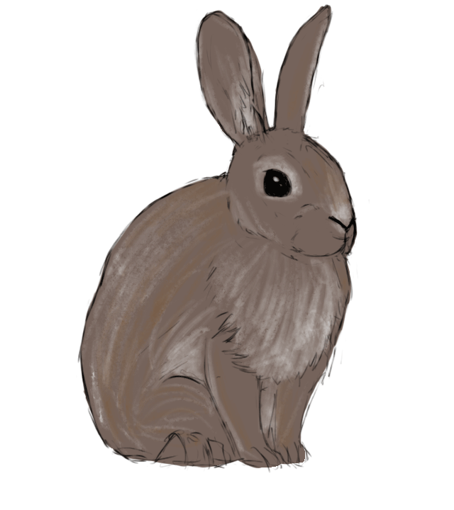 Morgan Meehan-Lam - Breathe