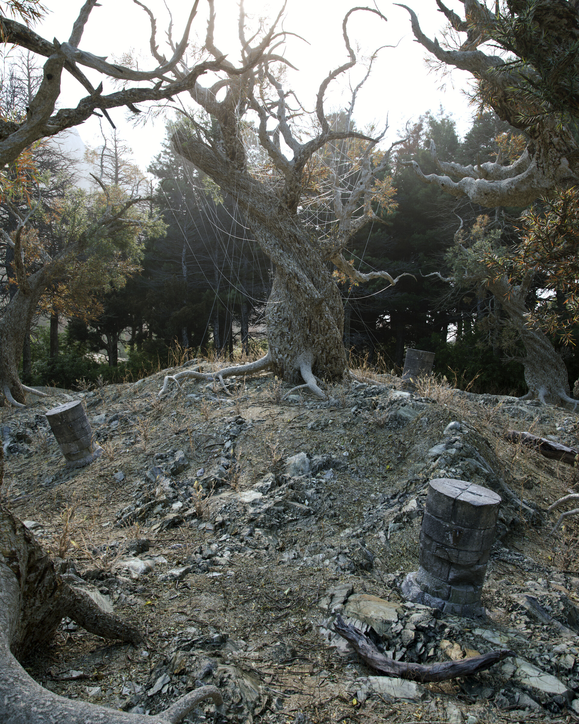 ArtStation - The Witch Tree