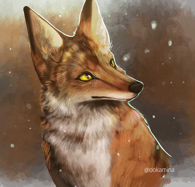 ArtStation - Foxes