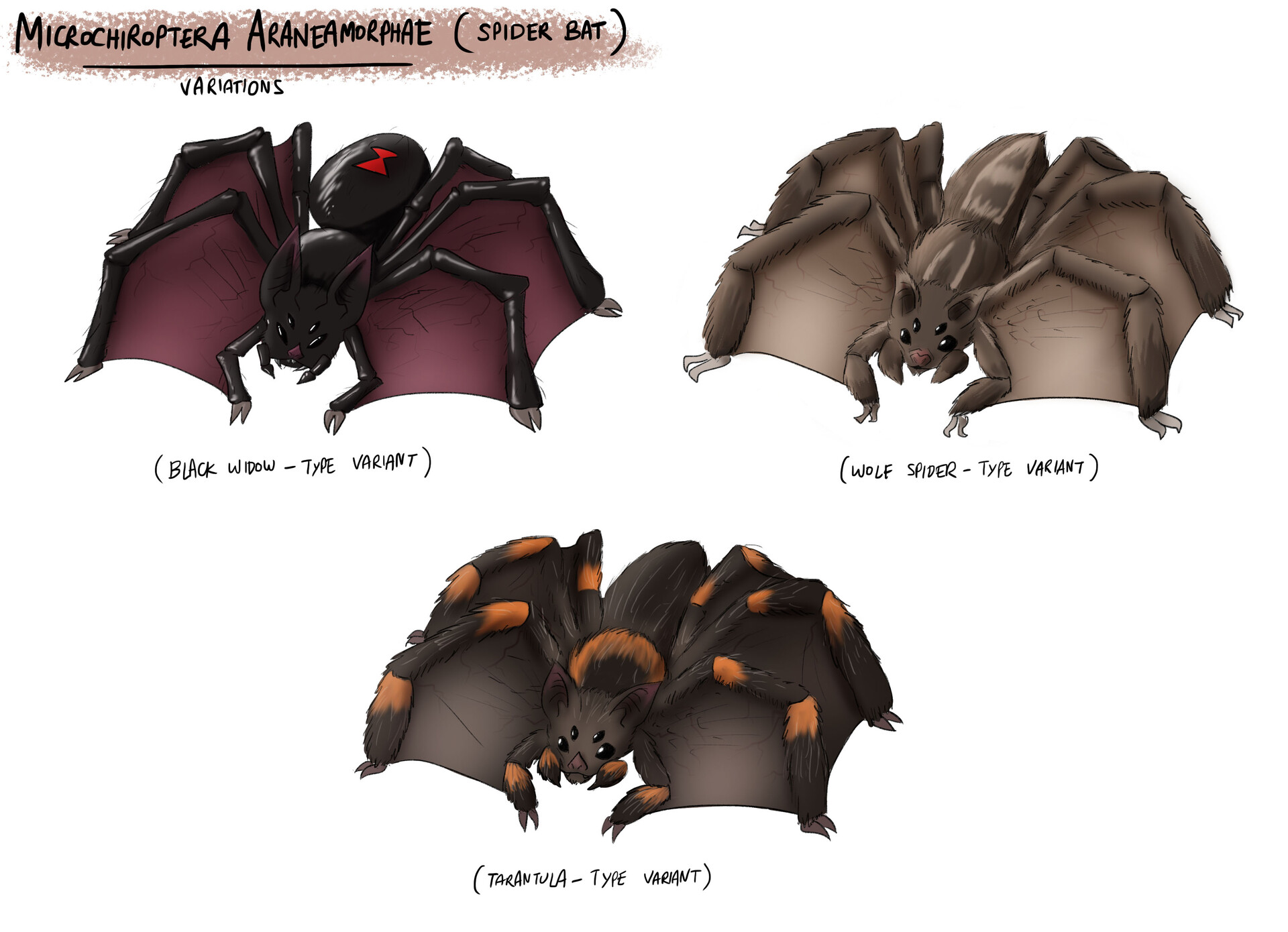 Zack Chua - Spider Bat - Hybrid Creature Design