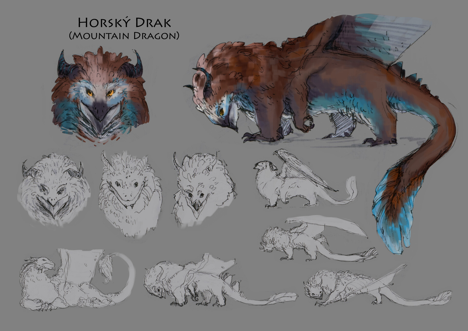 Anna Neumannova - What about the dragons?