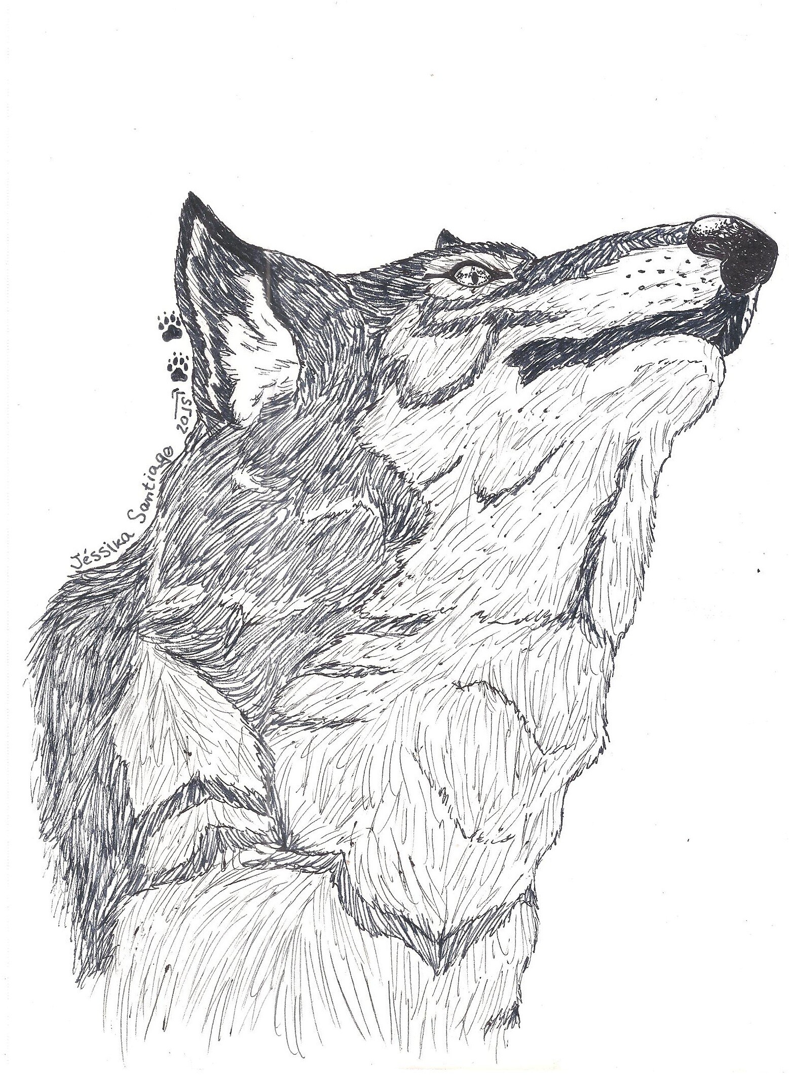 ArtStation - Canis Lupus 1