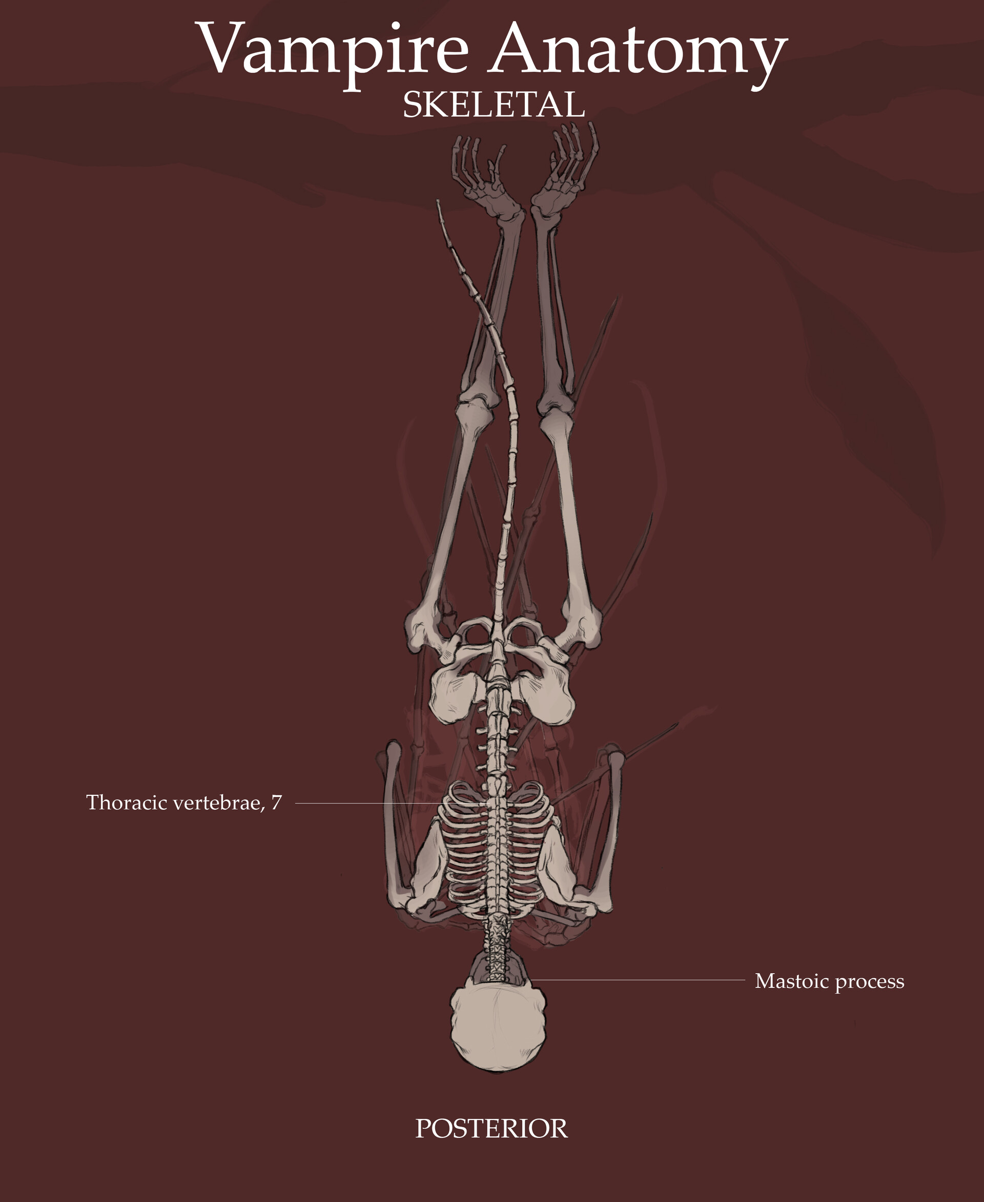 Rev - Anatomy of a Vampire