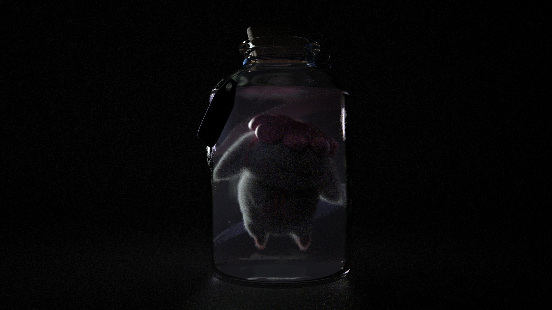 Vincent Lenne - Personnal Work - Rabbit in Bottle (Février 2019)
