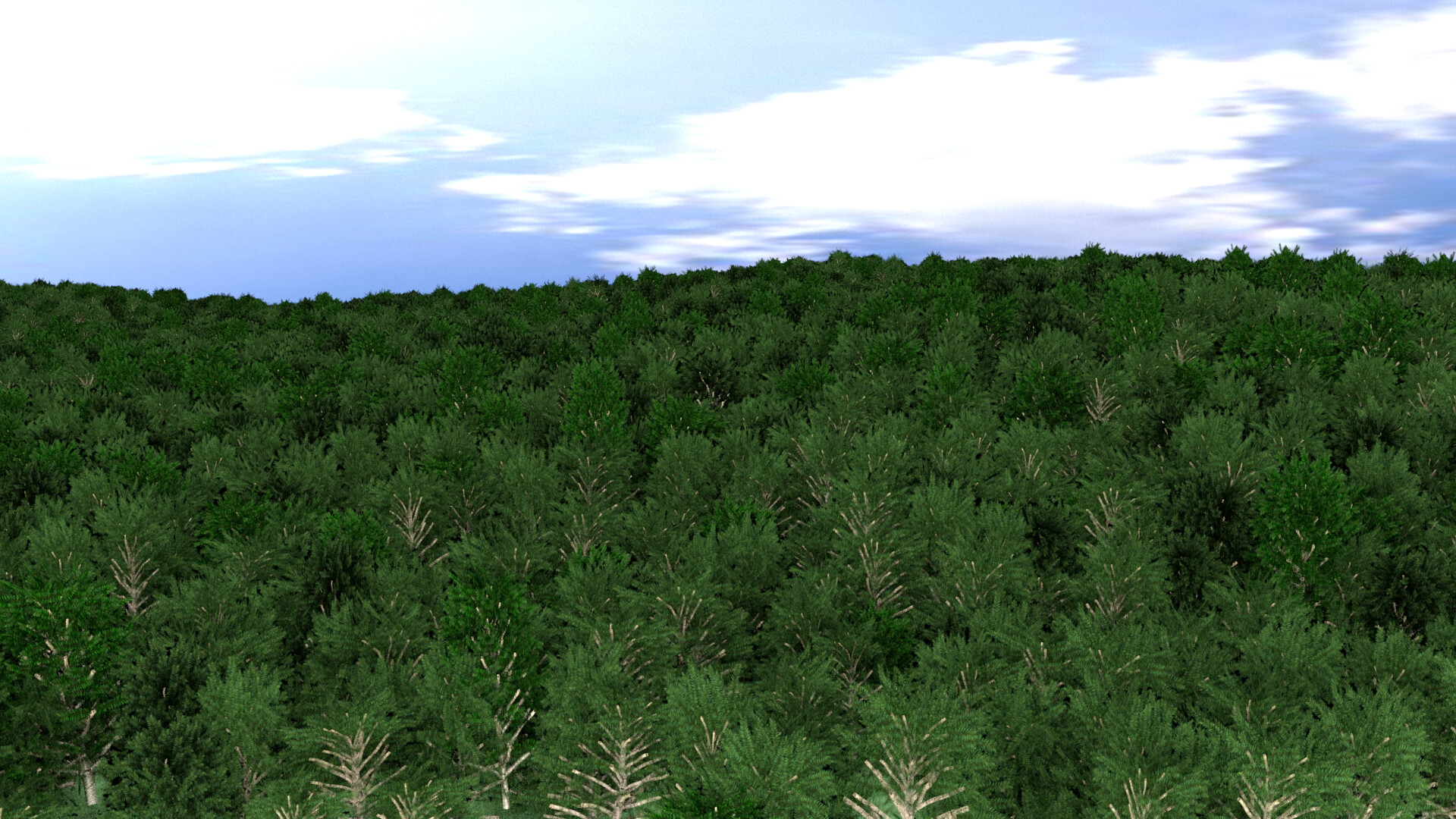 ArtStation - Forest Aerial Shot