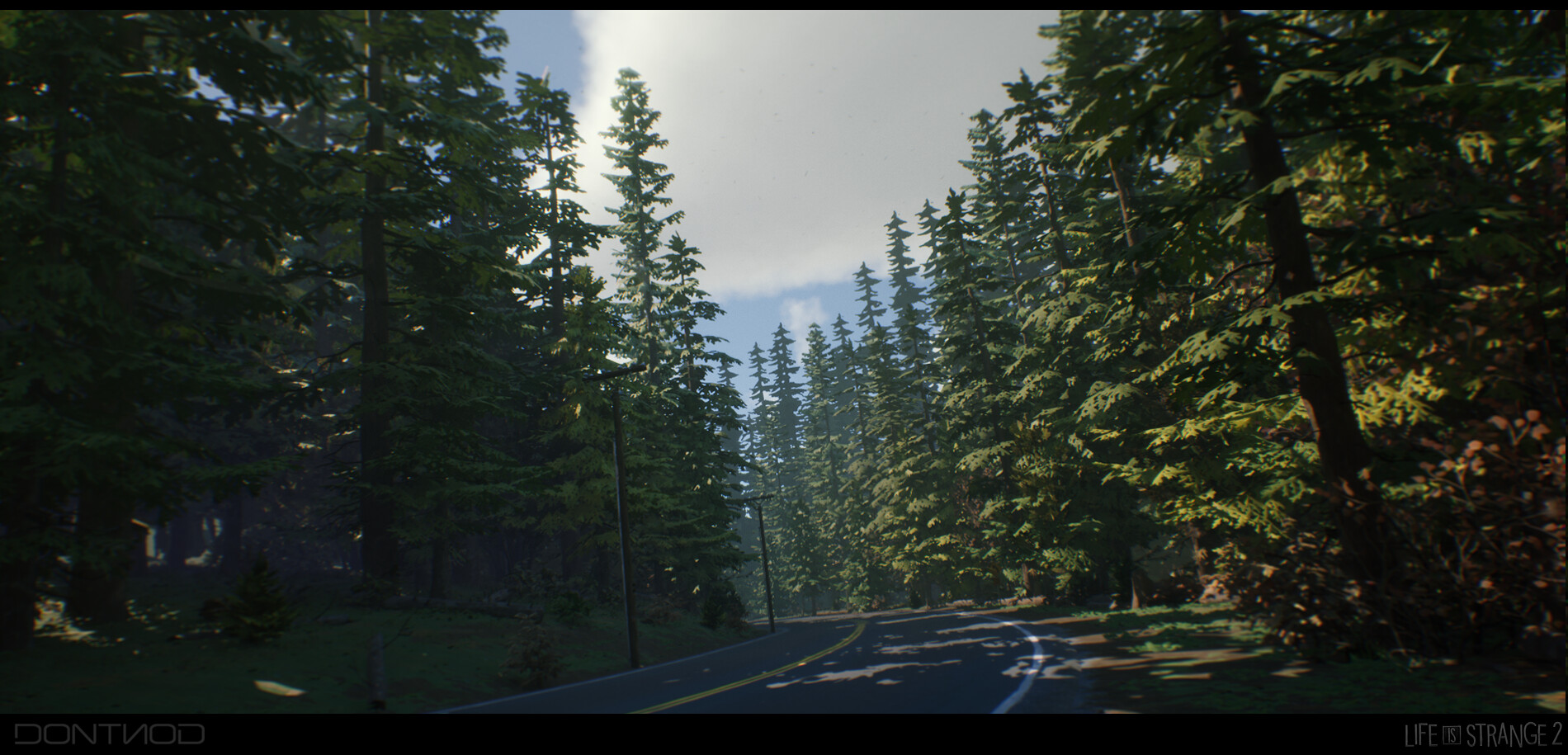 Julie Lefevre - Life Is Strange 2 // Forest Road settings