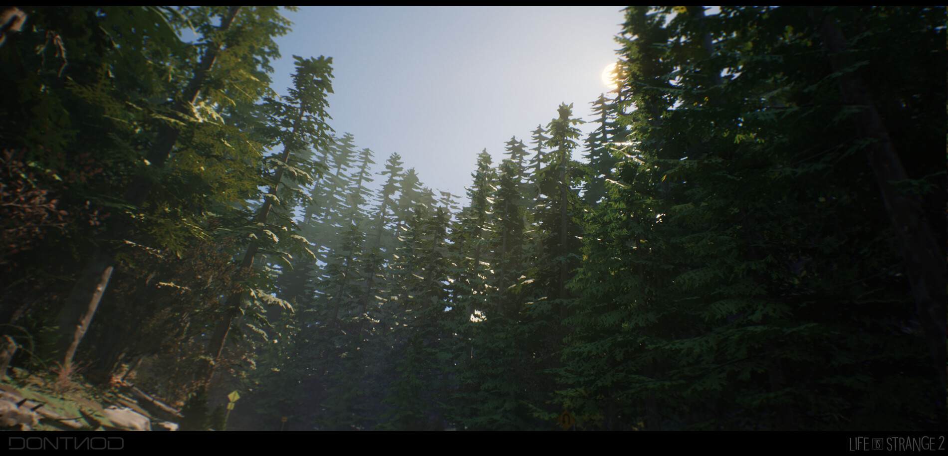 Julie Lefevre - Life Is Strange 2 // Forest Road settings