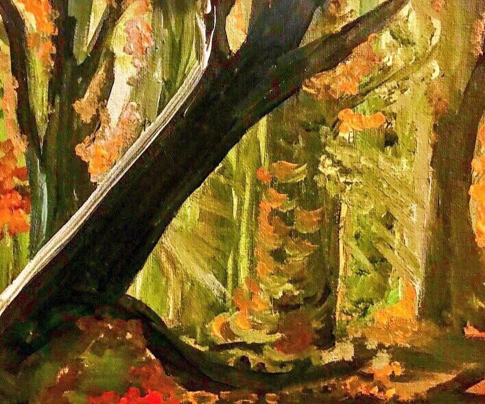 Ashley Wixted - Forest Background