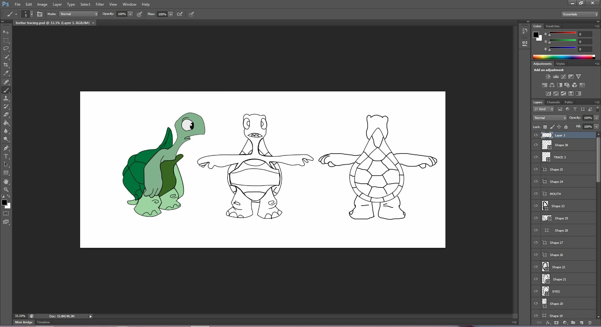ArtStation - Turtle Tracing