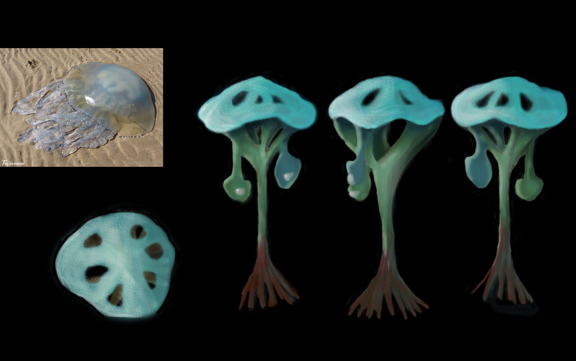 Reginald King - prop issolations and plant explorations