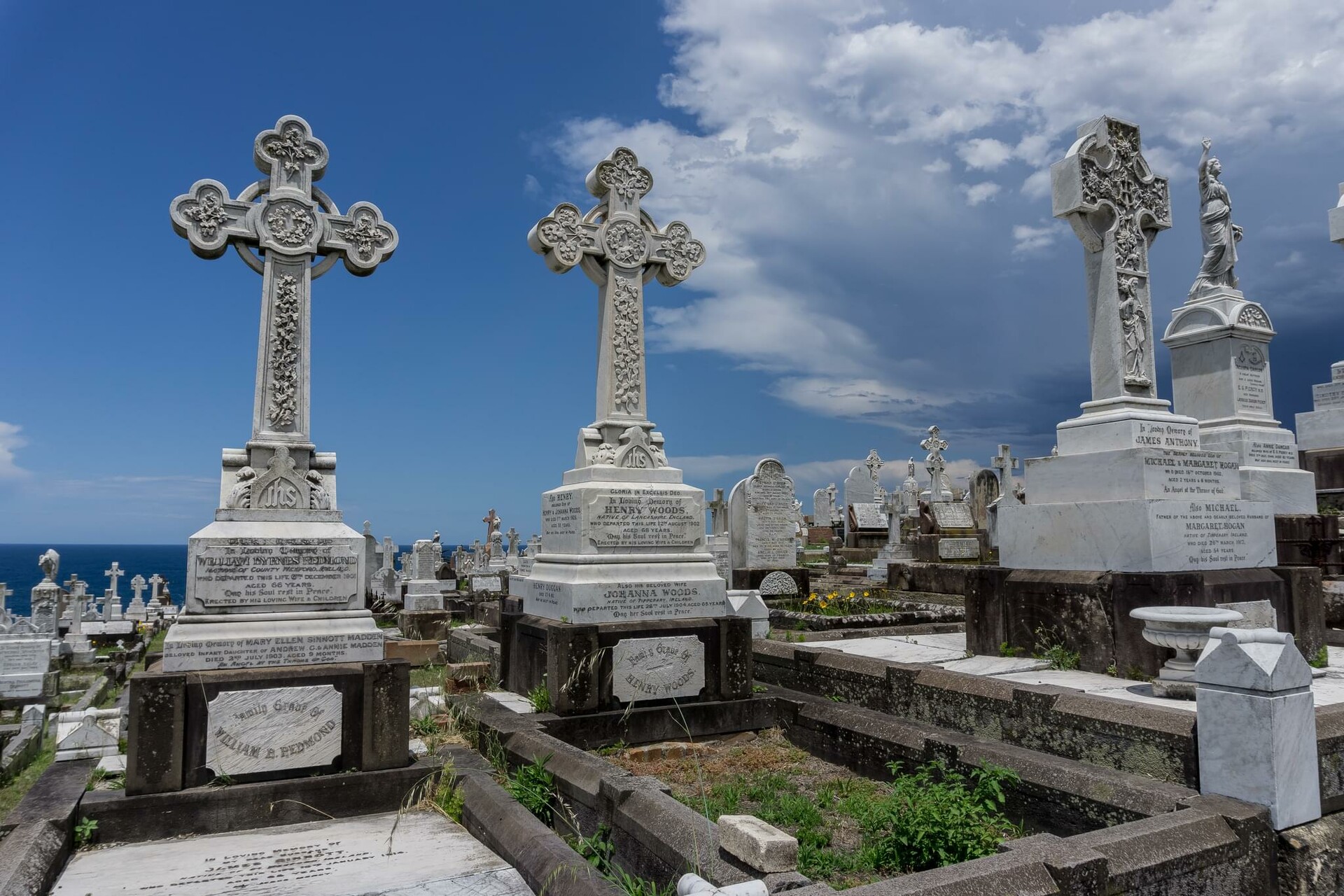 FOTOREF.COM Photo Packs - 109 photos of Tropical Cemetery