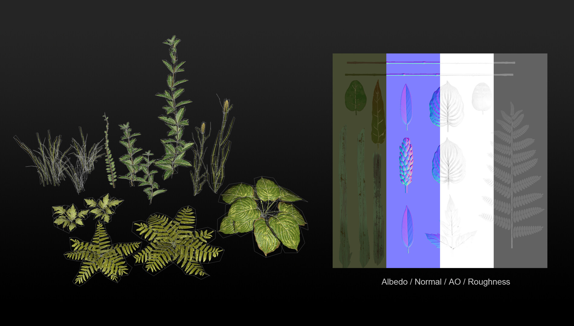 nahyeon Kim - Farron Keep_Props