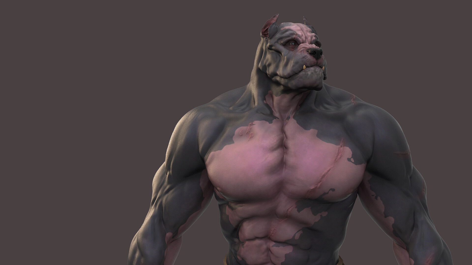 ArtStation - Pitbull Outlaw