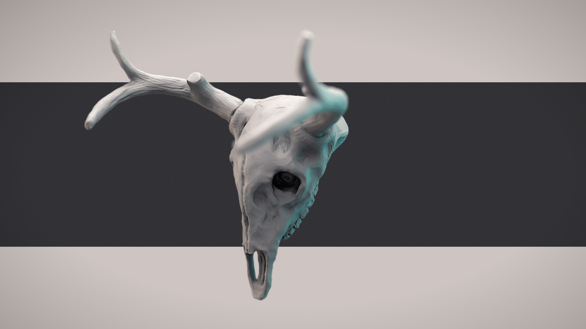 ArtStation - Training Doodles : Dear Skull