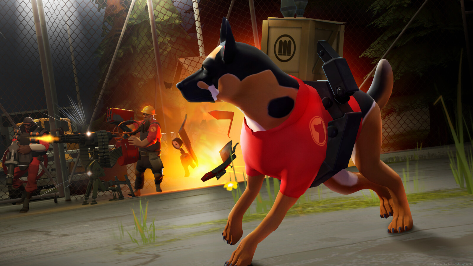 Szabó "Maxxy" Attila - The Guard Dog TF2