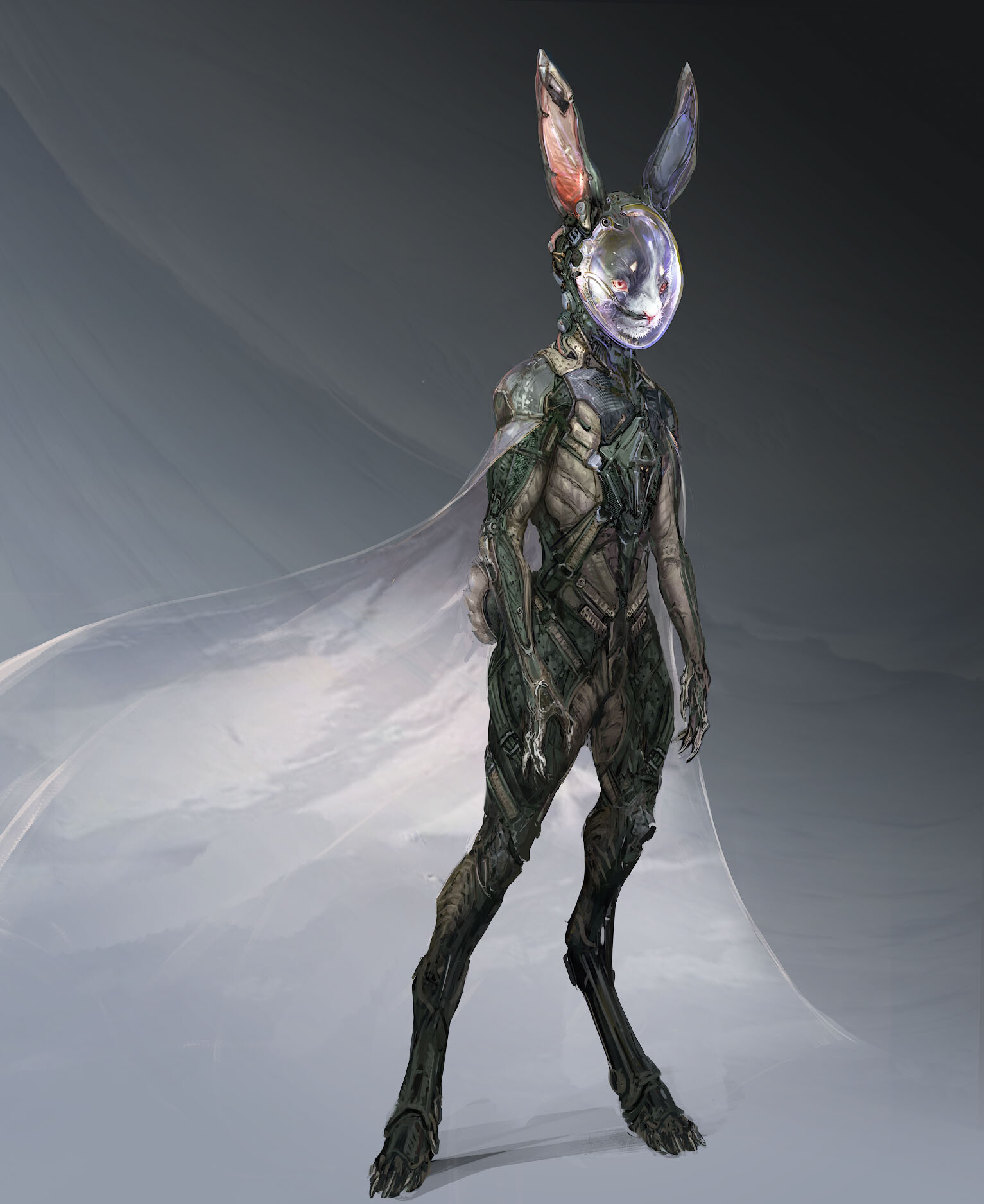 space rabbit