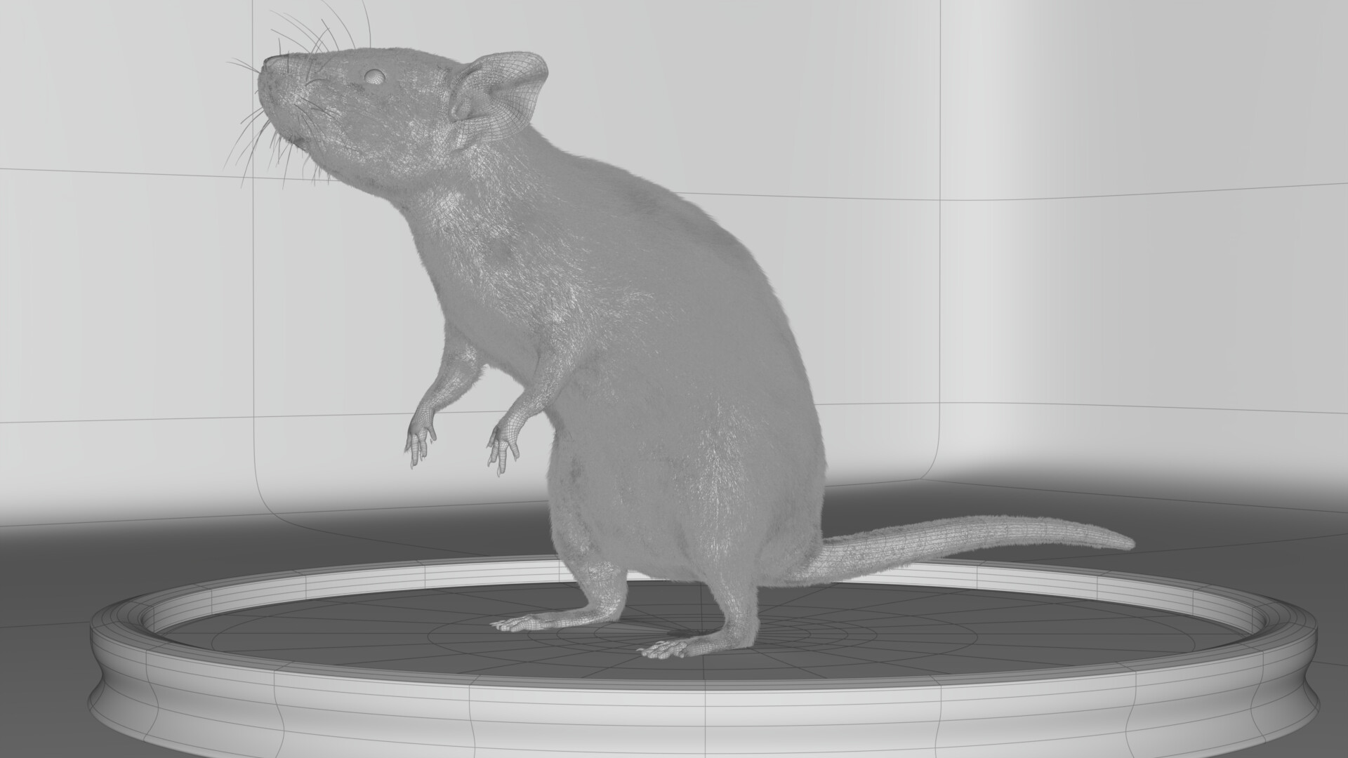 Sylvain VERMESSE - Rat-Render project