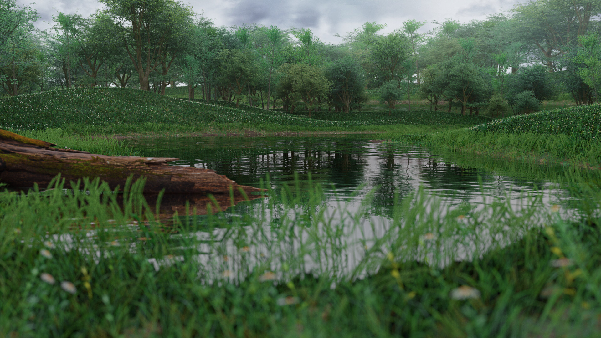 ArtStation - Wetland