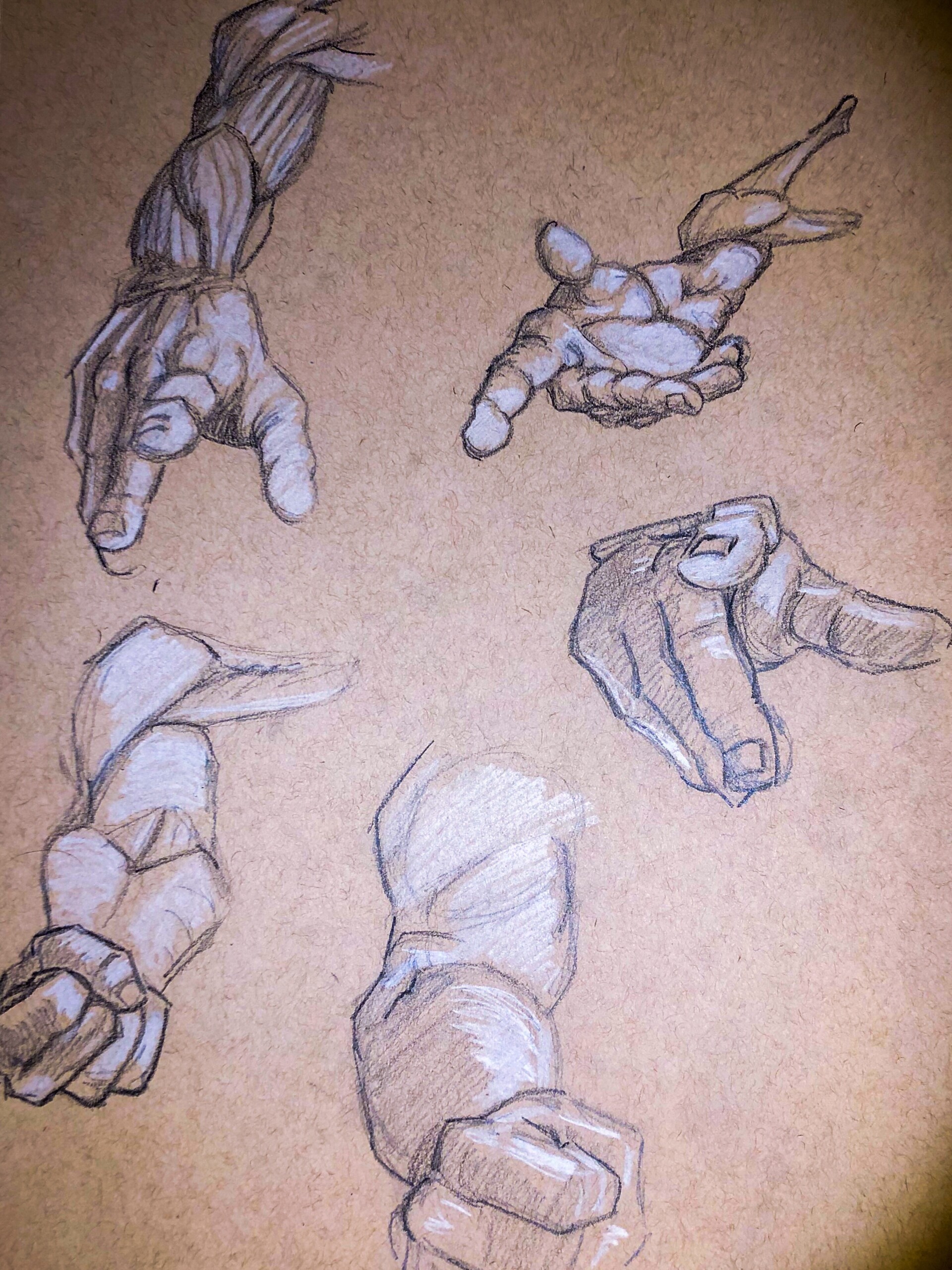 ArtStation - Drawing from “morphos”