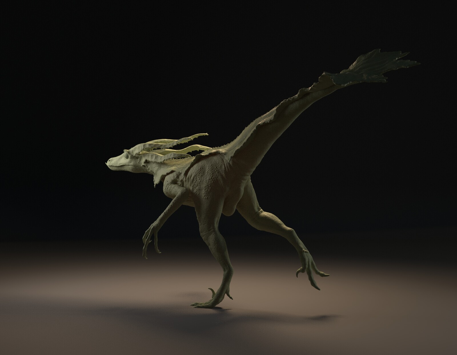 H Mason Holly - Crested Raptor