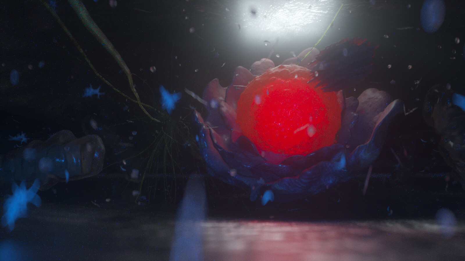 Christopher Strachan - Inside the Cell