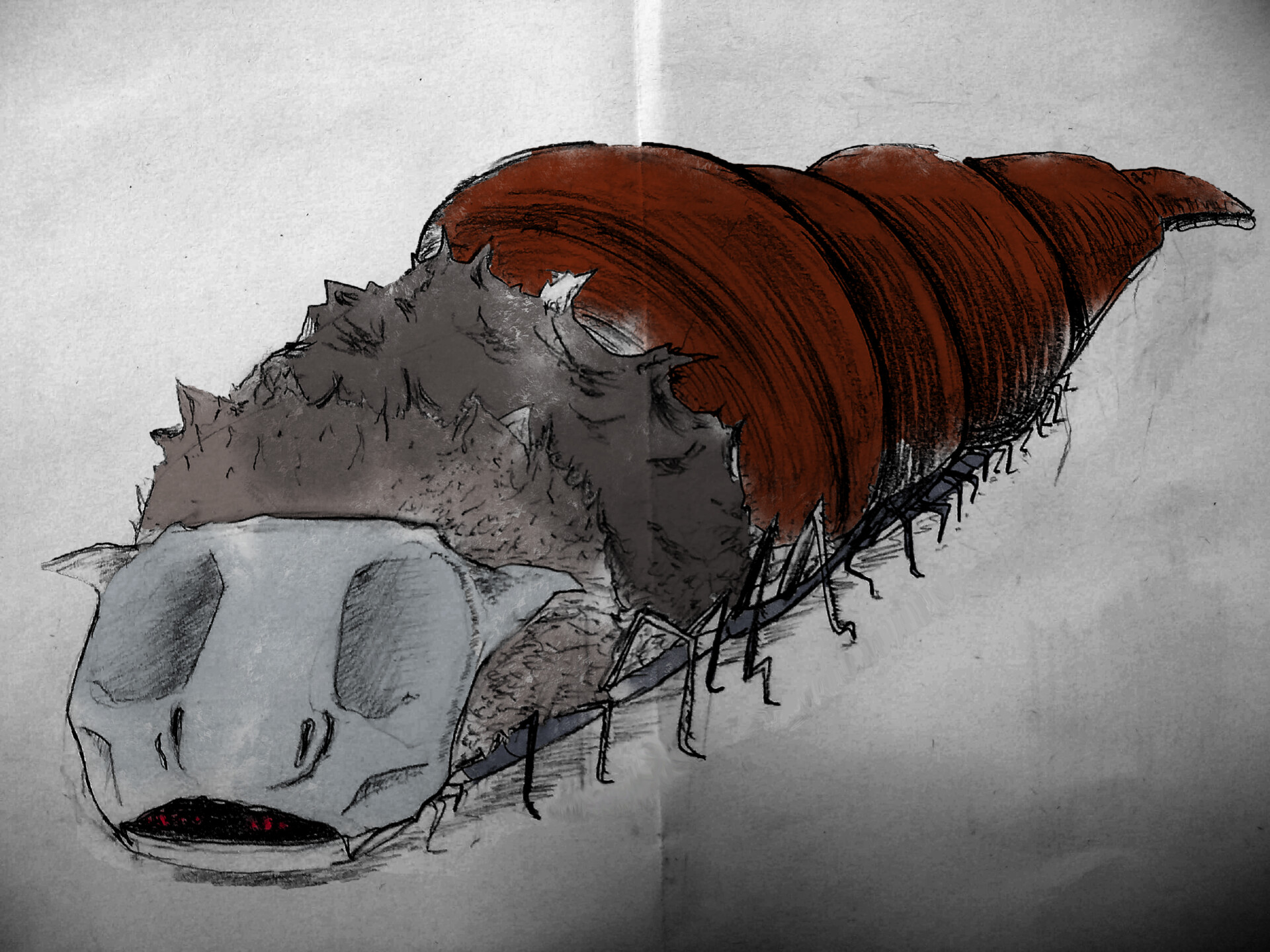 ArtStation - Skull Bug