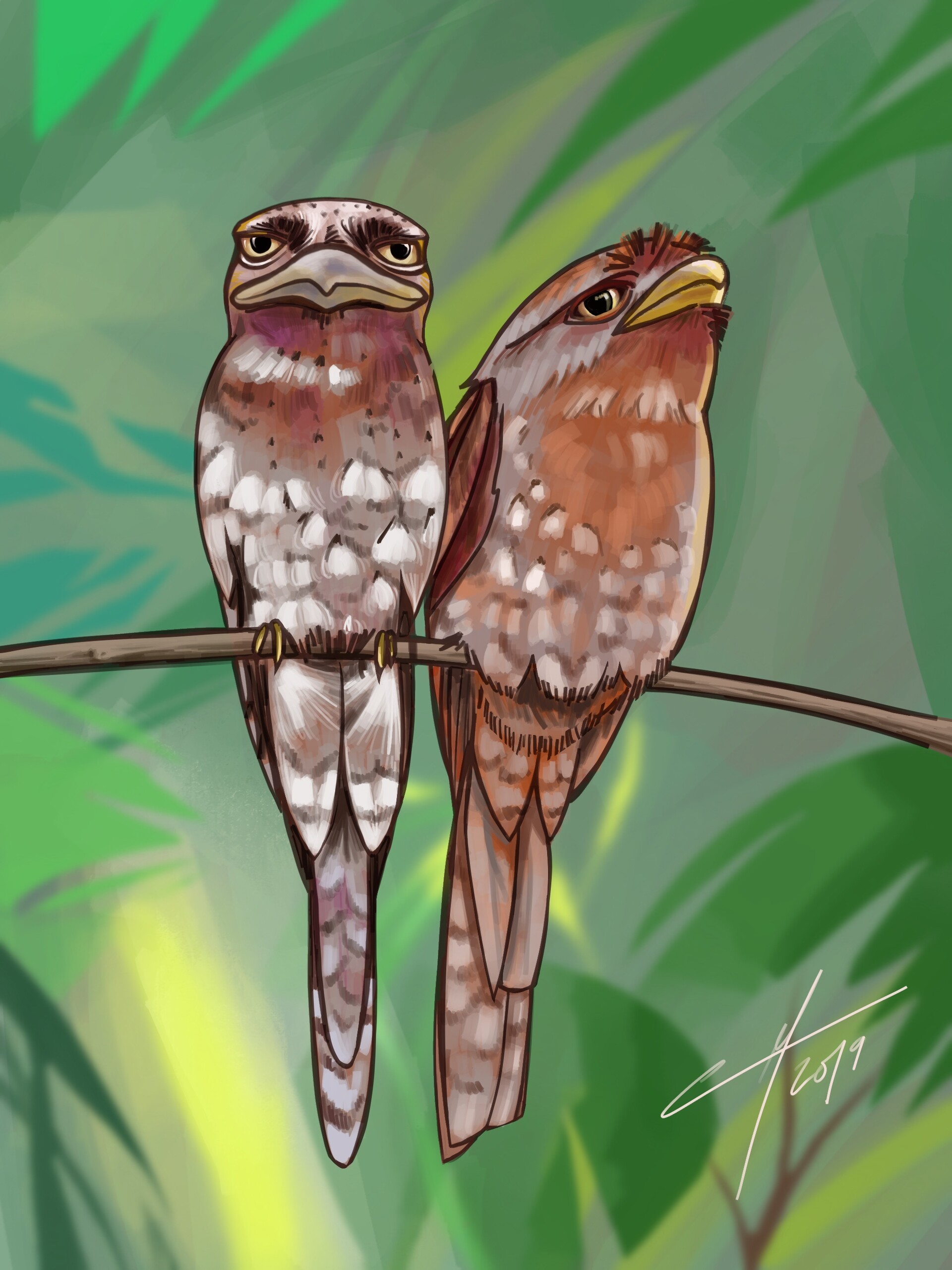 ArtStation - Weird birds