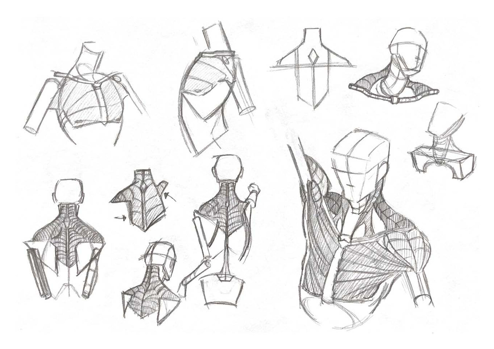 anatomy drawing study