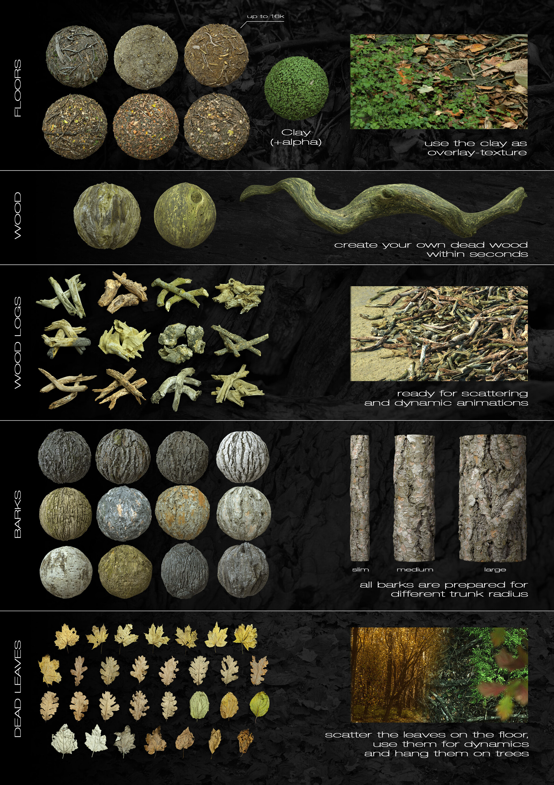 SCHINDELAR-3D - RDT COLLECTION 7