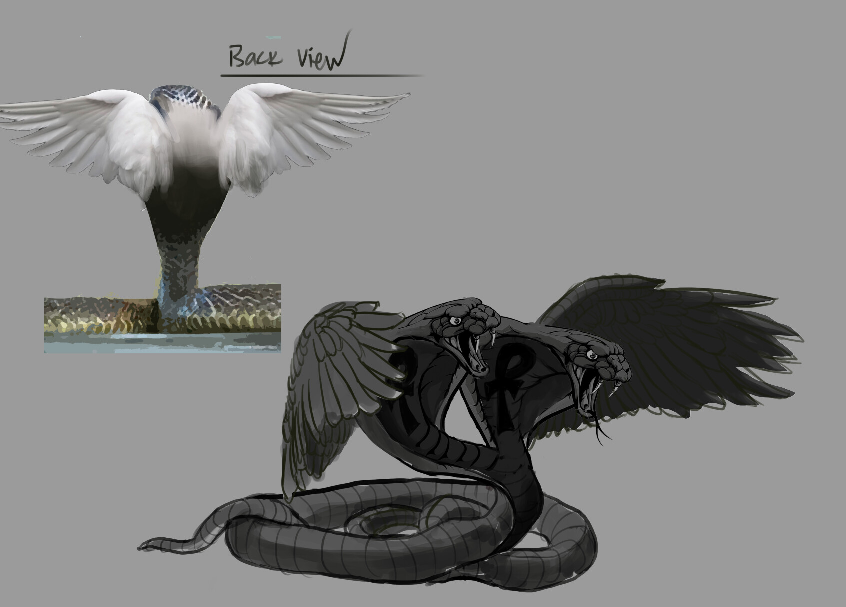 Collateral Damage Studios - Devotion