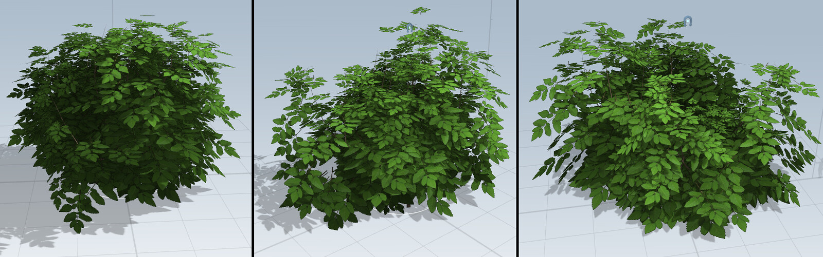 Nadine - ThunderClan Camp