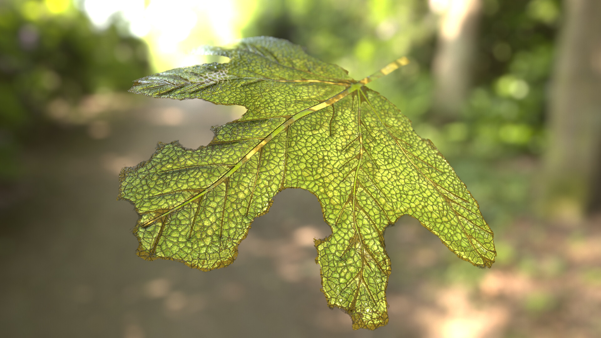 ArtStation - Procedural leaf