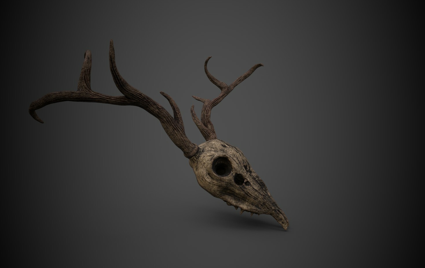 ArtStation - Stag skull