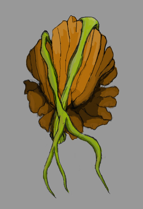 ArtStation - Vine Shield